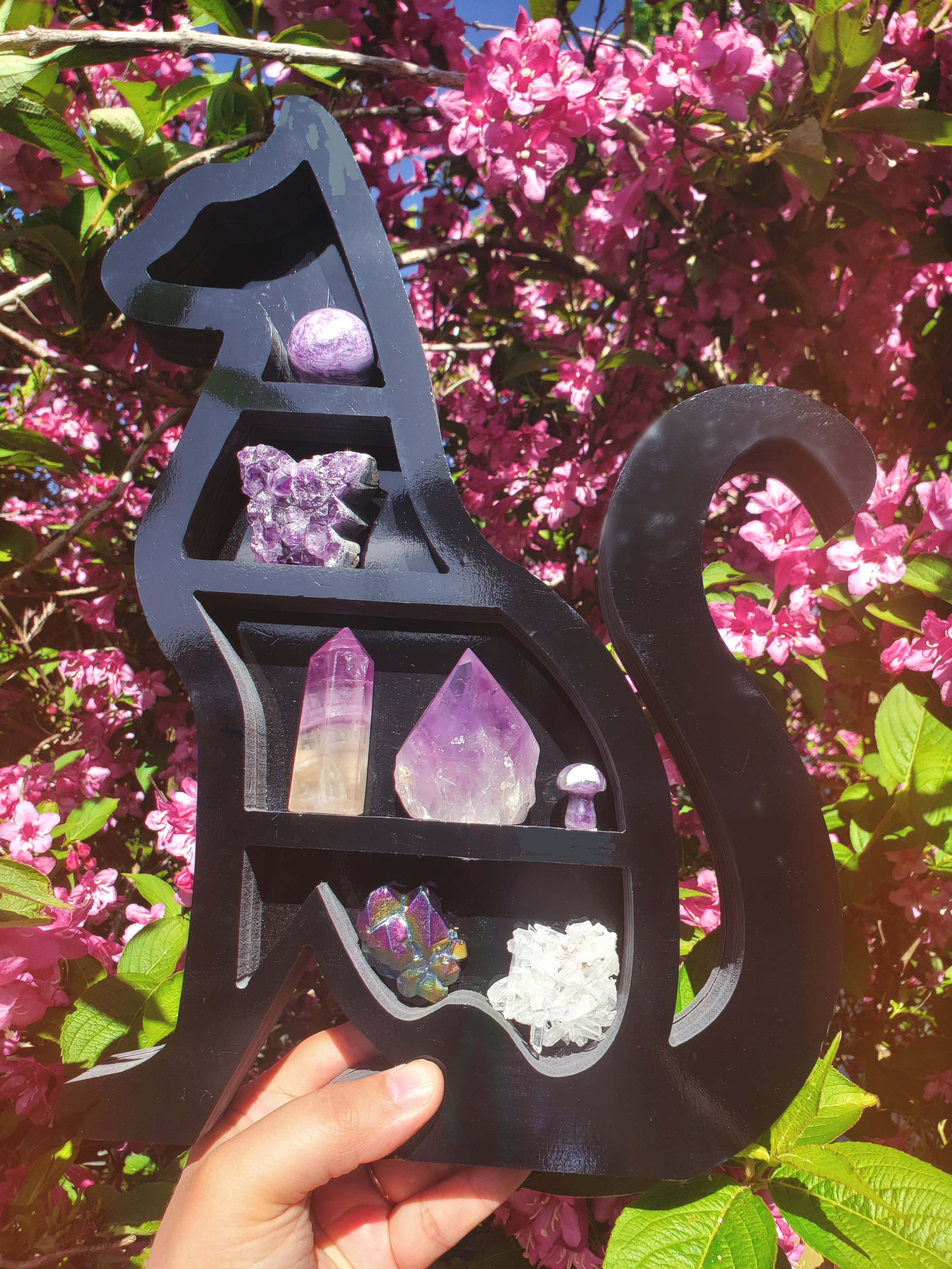 Black Cat Shelf – Jasmine Louise